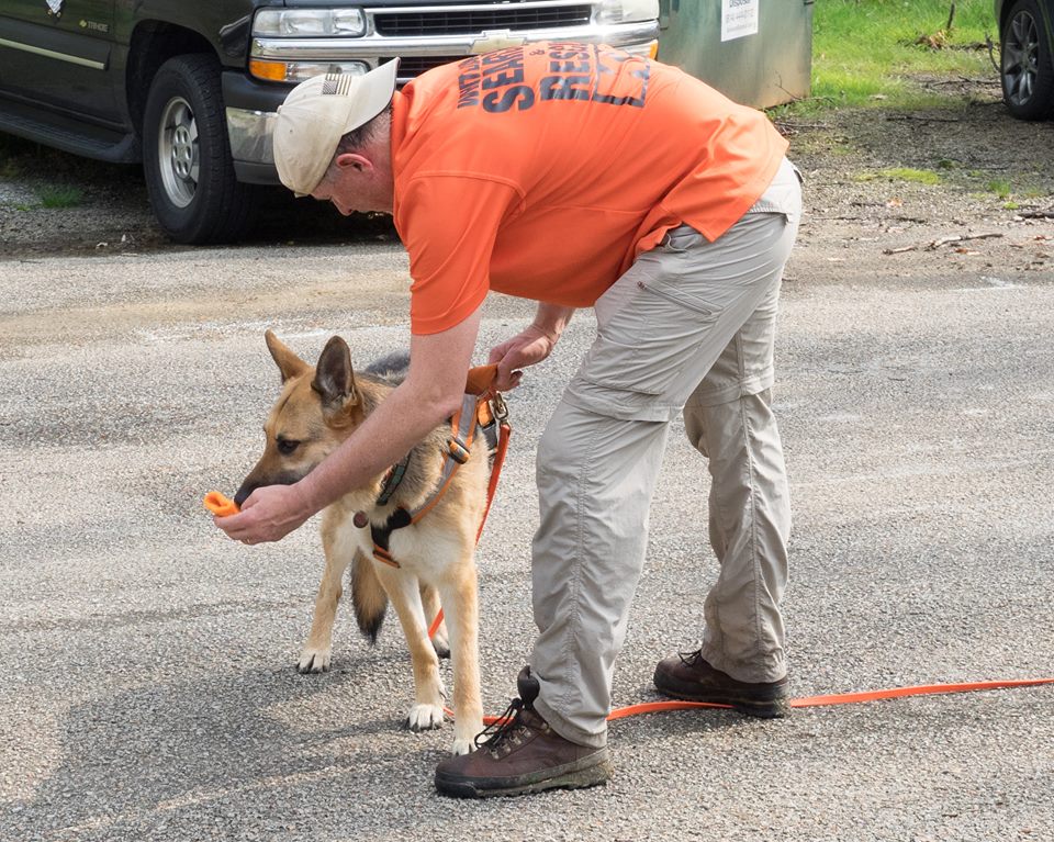 Award #72: White Oak EMS Search and Rescue K9 Team – Awesome Pittsburgh